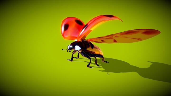 ArtStation - Animated Ladybug