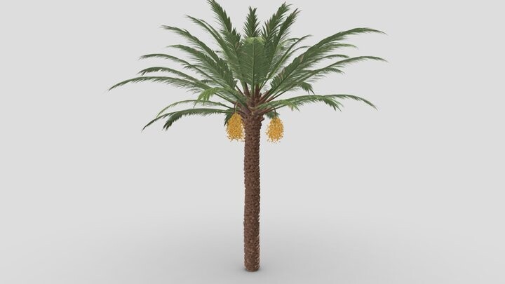 ArtStation - Date Tree- 01