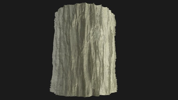 ArtStation - Tree bark