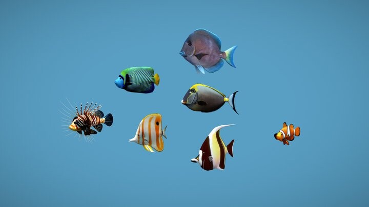 ArtStation - Virtual Aquarium