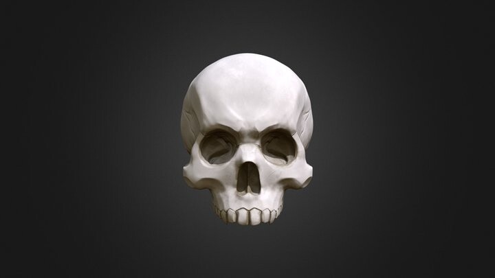 ArtStation - Stylized Skull