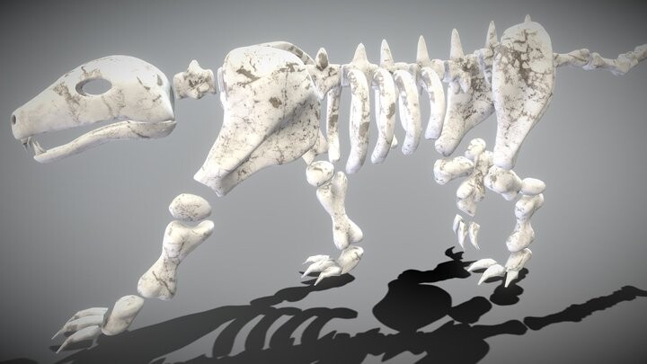 ArtStation - Leopard Skeleton - Downloadable