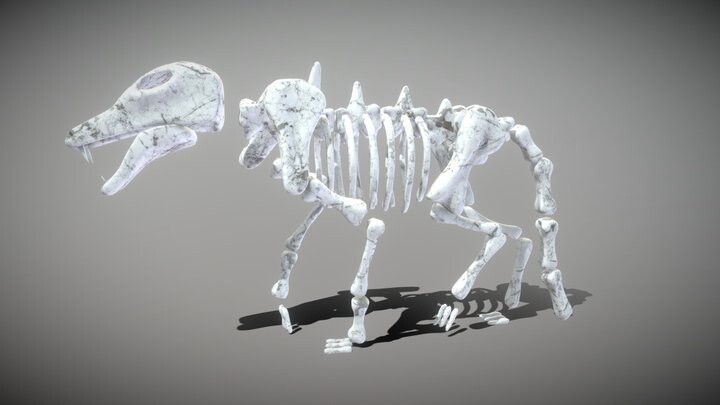 ArtStation - Wolf Skeleton - Downloadable