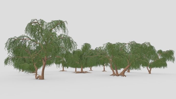 ArtStation - Prosopis Tree- Full Pack- 04