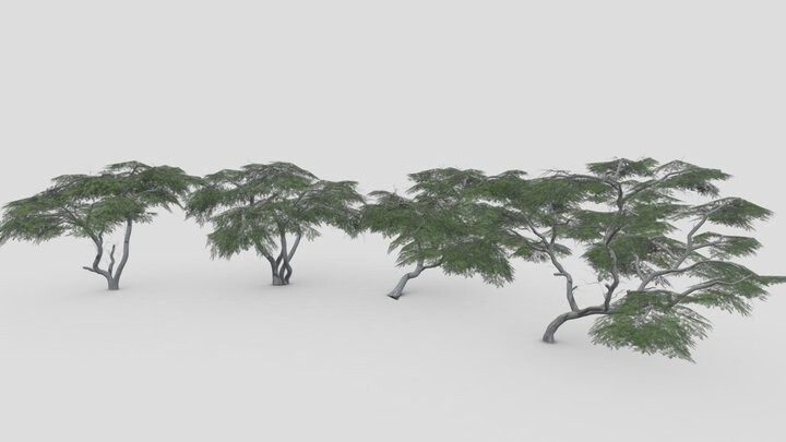 ArtStation - Acacia Tree- Pack- 5