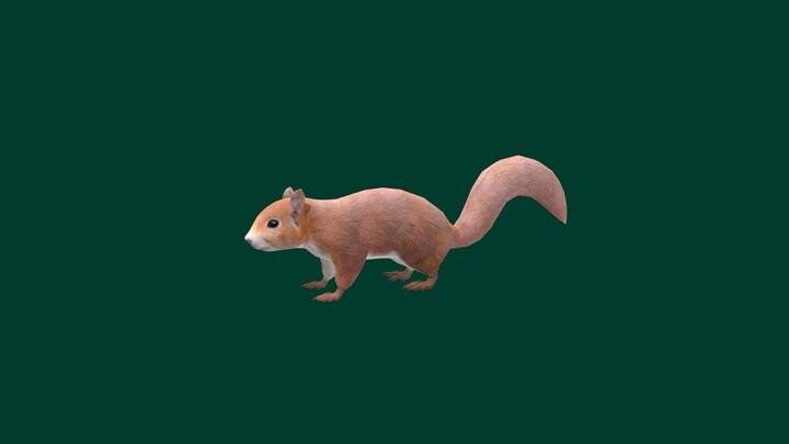 ArtStation - Squirrel
