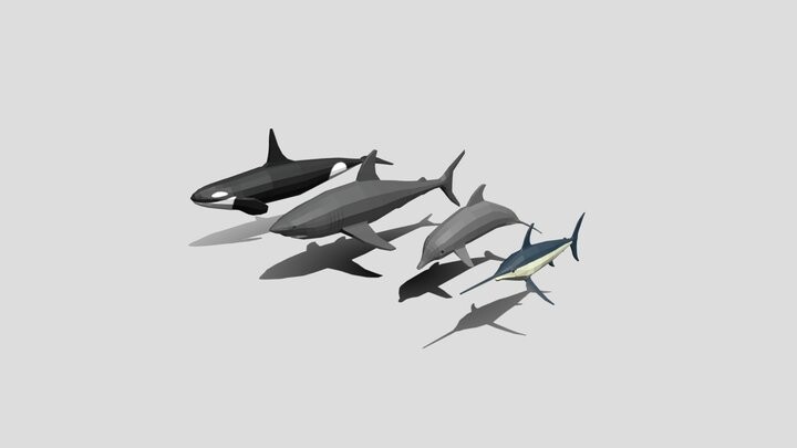 ArtStation - Low Poly Fish Collection
