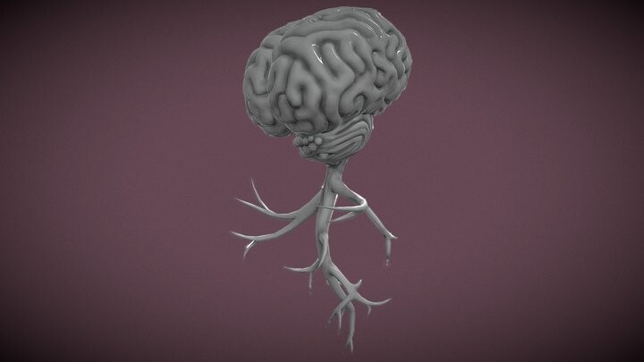 ArtStation - Polyp Models