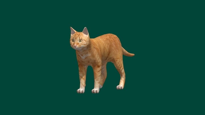 ArtStation - Ginger Cat