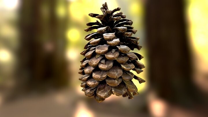 ArtStation - A Large Pinecone
