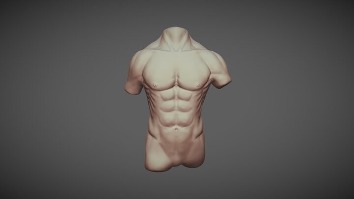 ArtStation - Torso