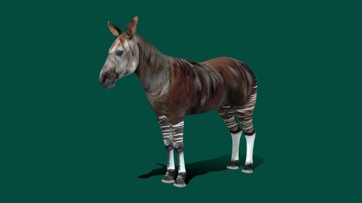 ArtStation - Okapi Forest Giraffe (Low Poly)