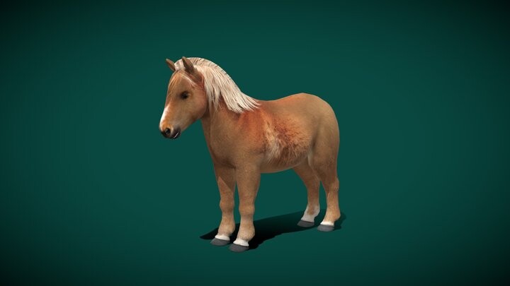 ArtStation - Pony Small Horse (Lowpoly)