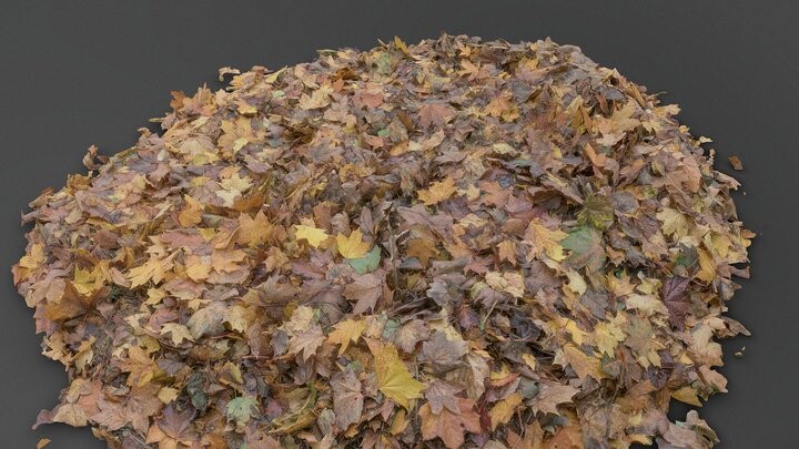 ArtStation - Leaf pile