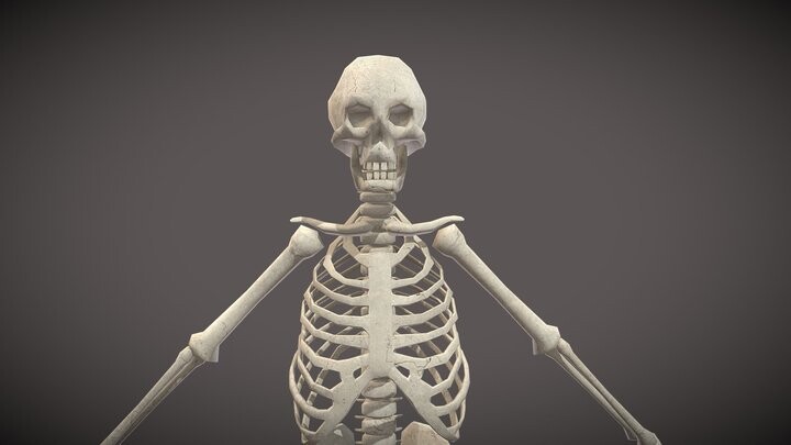 ArtStation - Low Poly Skeleton