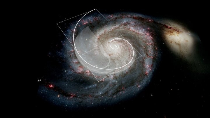 ArtStation - What do a seashell and a galaxy share in common?