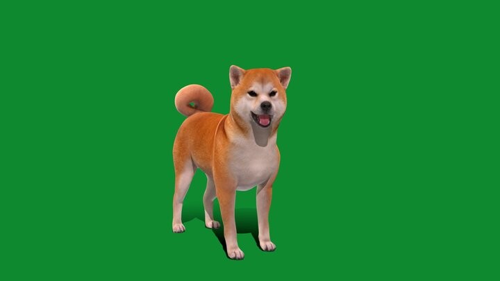 ArtStation - Japanese Shiba Inu Dog