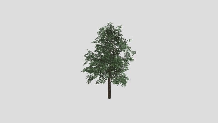 ArtStation - low poly animated tree 2