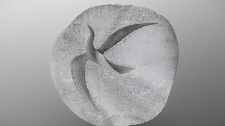 ArtStation - Flying bird imprint