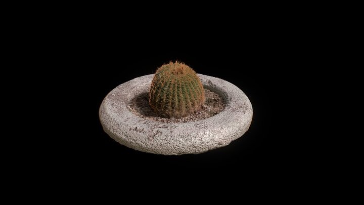 ArtStation - CACTUS STREET POT 002