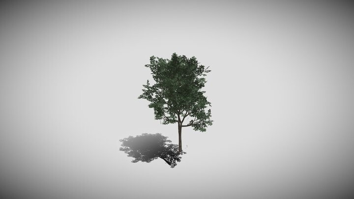ArtStation - unfinished low poly animated tree