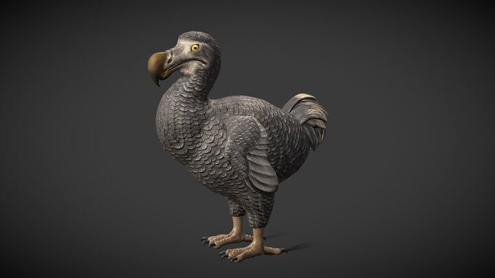 ArtStation - Dodobird