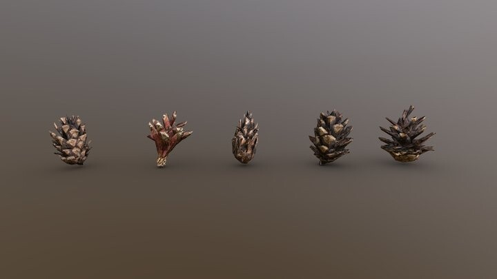 ArtStation - Pine Cones