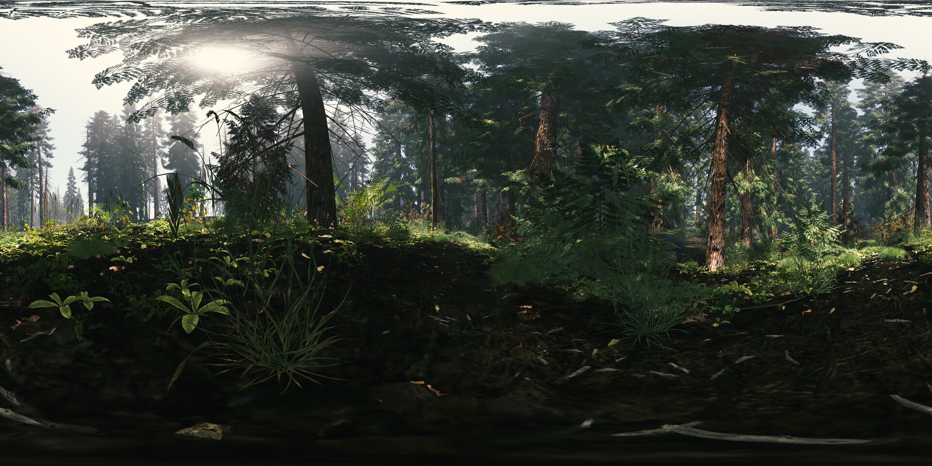 ArtStation - Forest (360 pano)