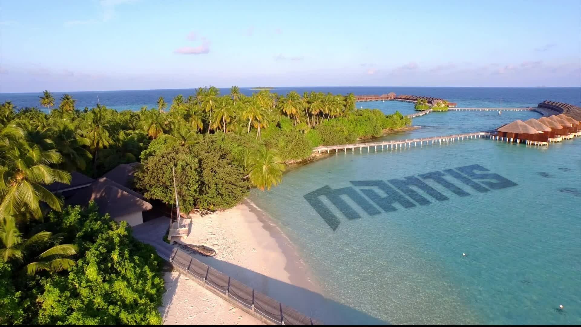 Amber Skipper - Mantis Pro Media Logo Animation Underwater