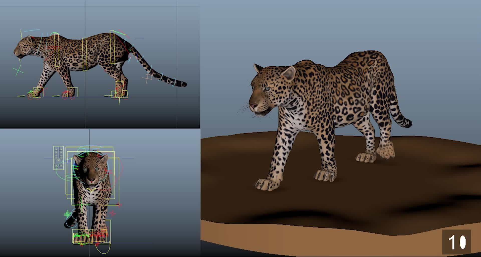 ArtStation - Leopard : Walk Cycle