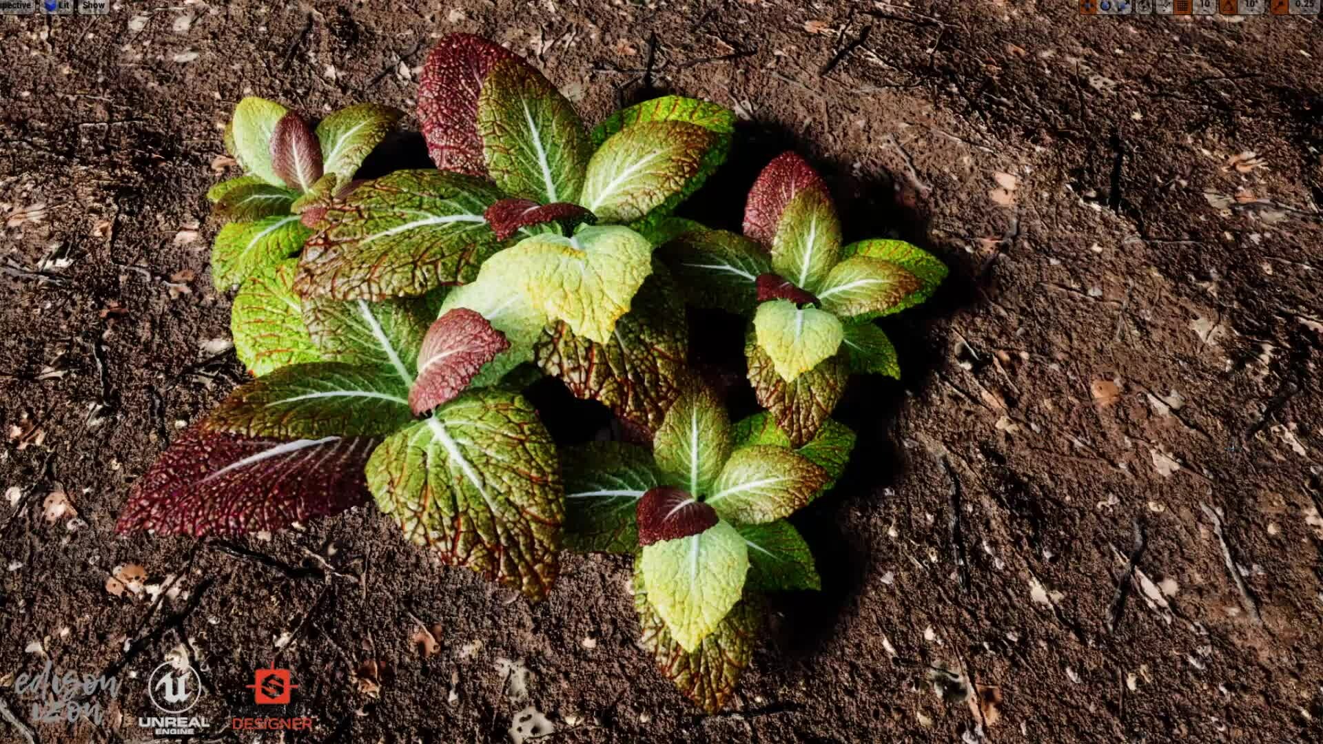 ArtStation - Procedural Leaf Texture To Unreal Engine Material Workflow ...