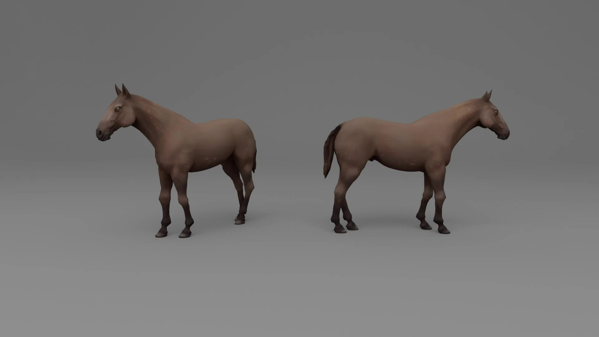 ArtStation - Horse Animations