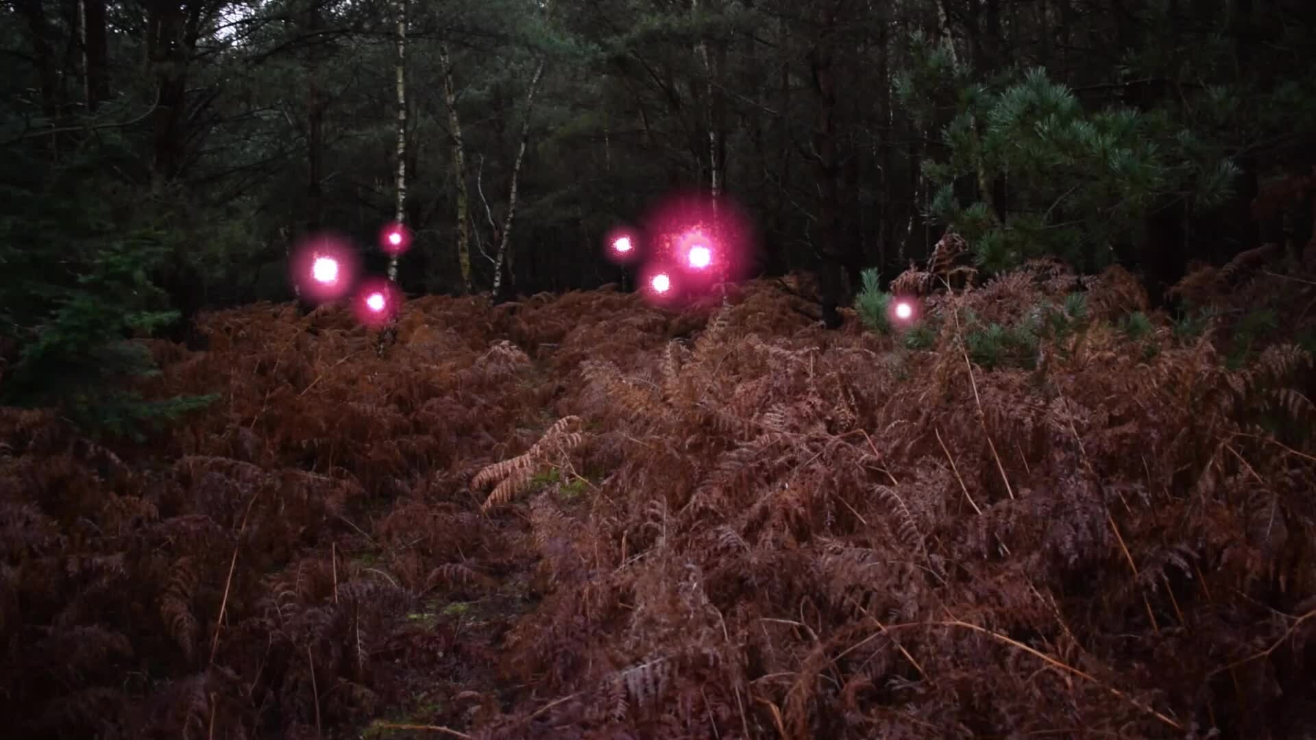 ArtStation - Alien Lights shot 2