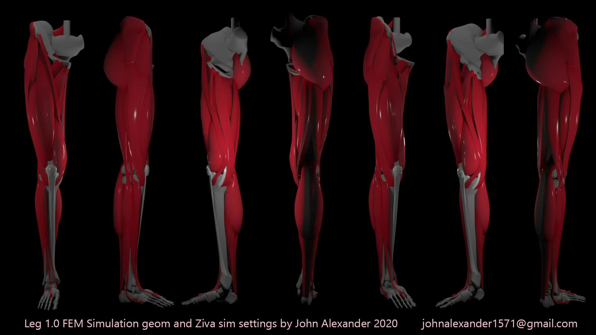 ArtStation - Leg 1.0 FEM Simulation Progress Video