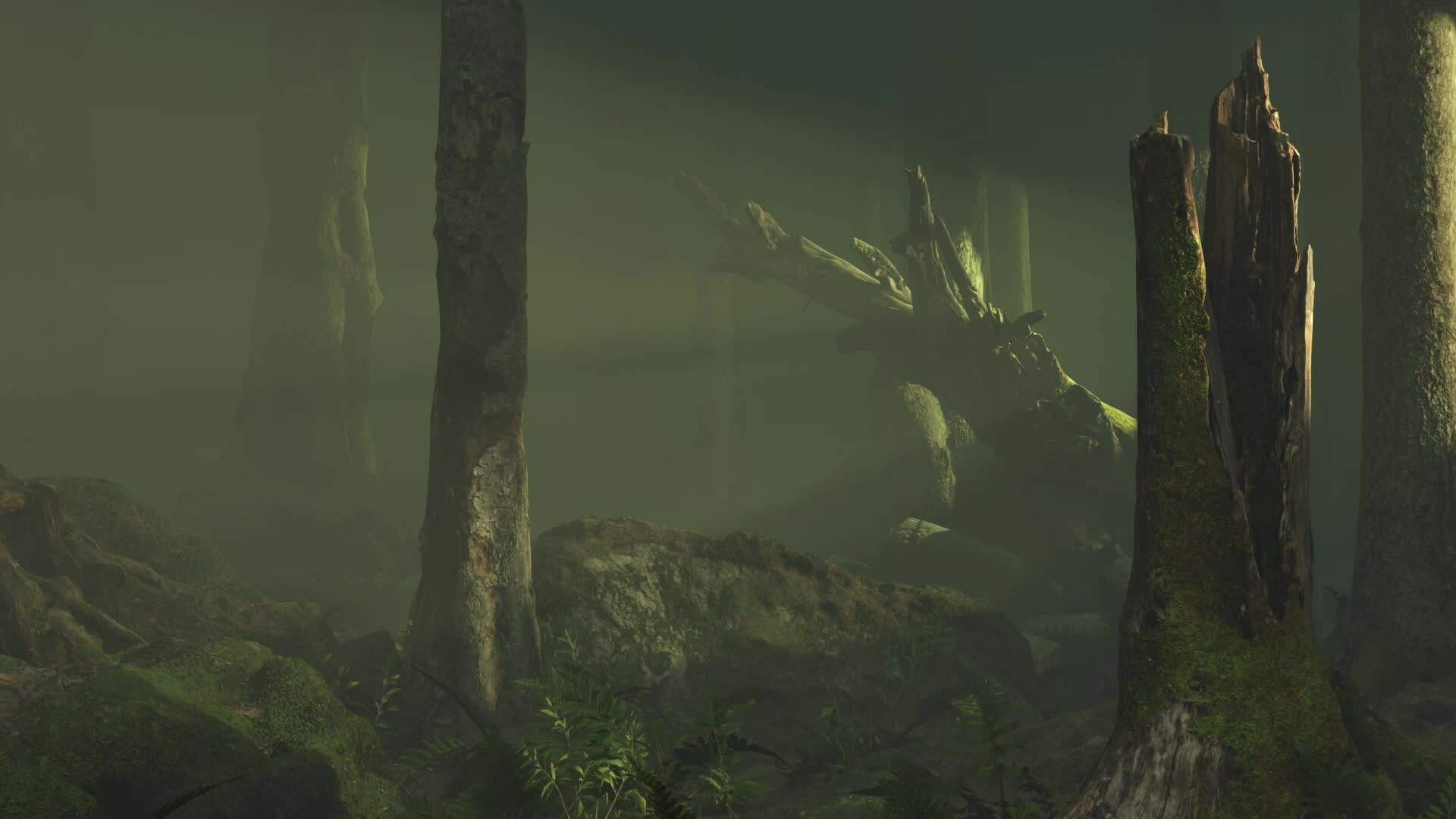 ArtStation - Forest Loop