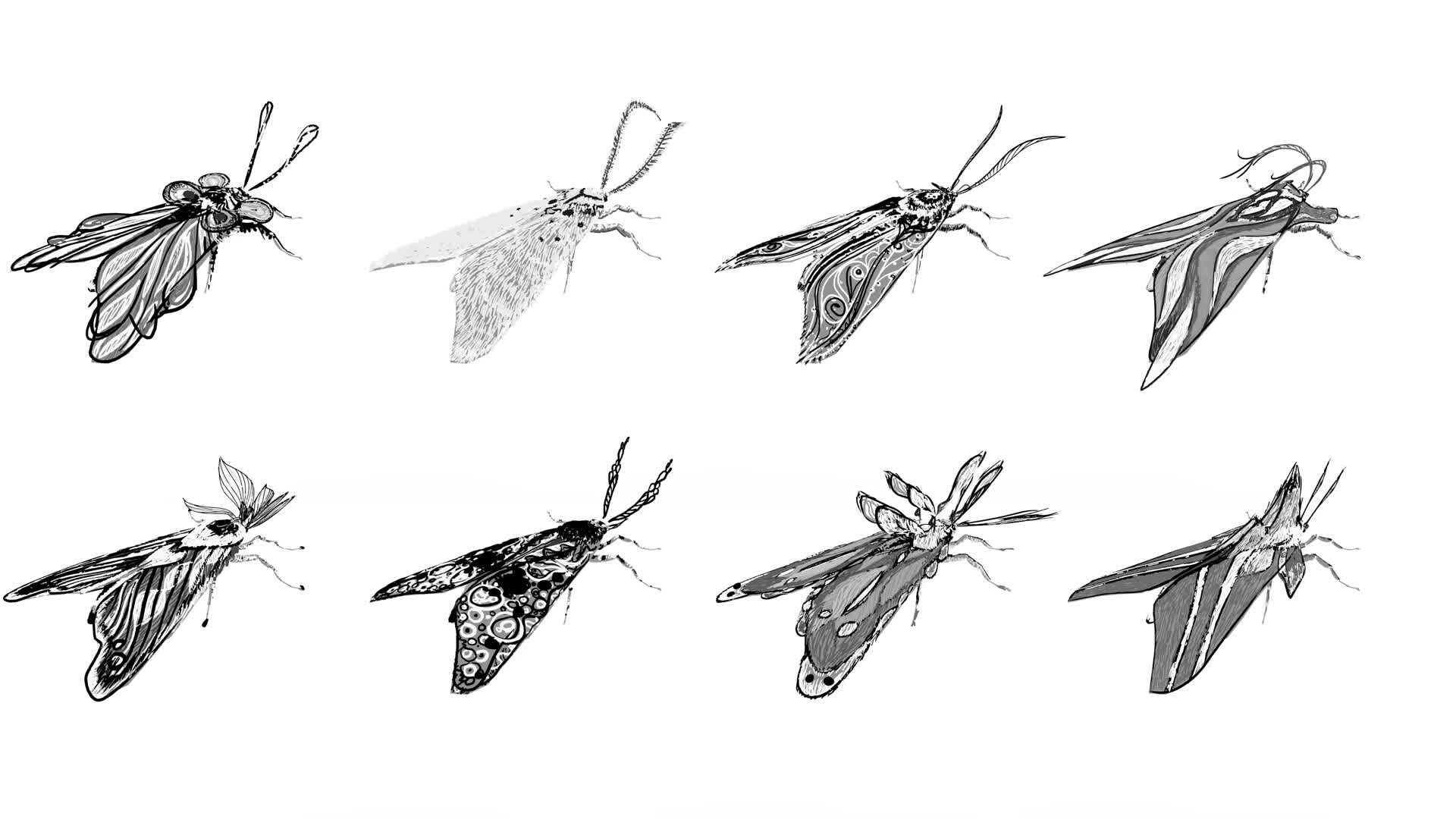 ArtStation - Moths Concept Art