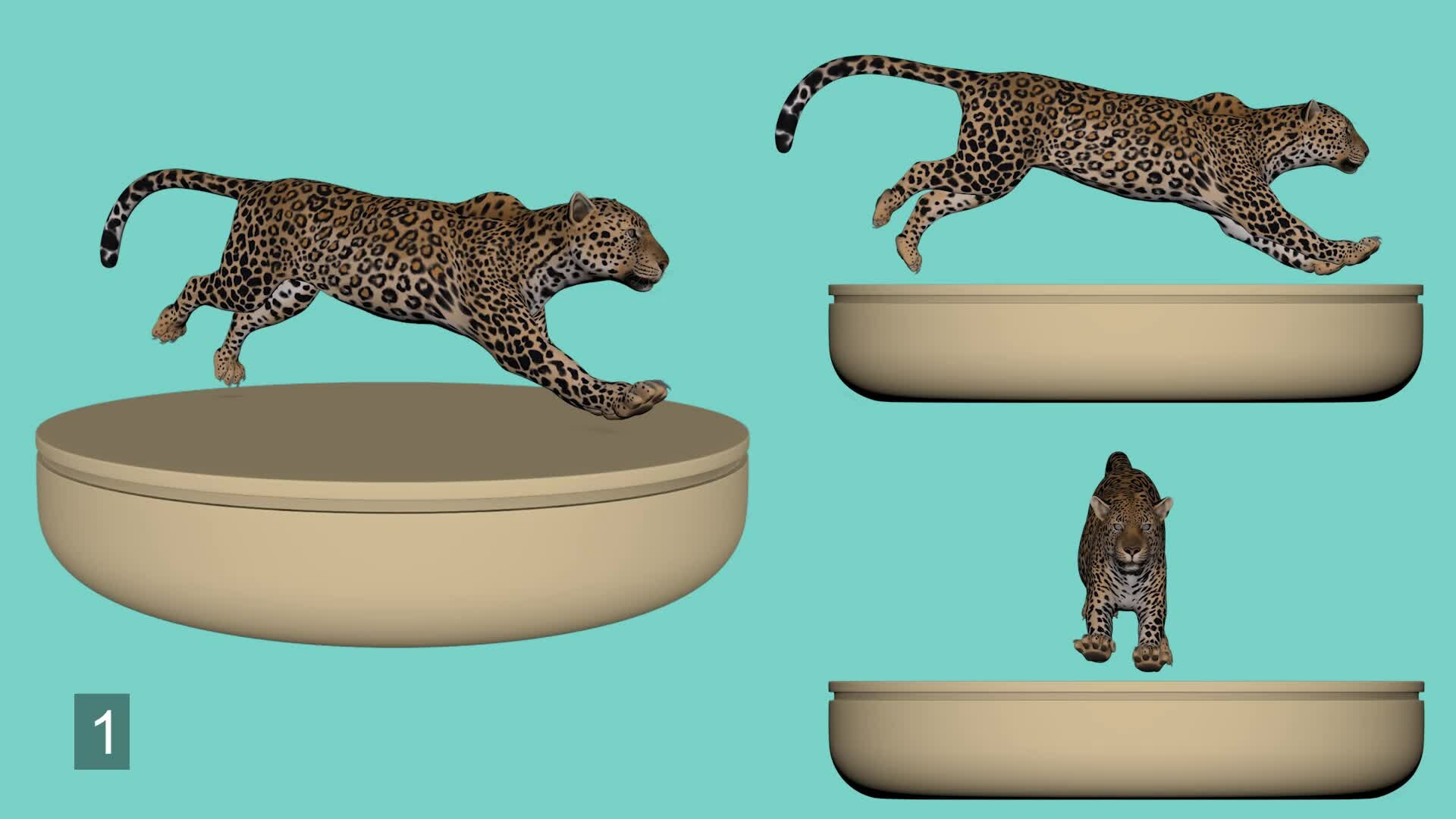 ArtStation - Quadrupède Cycle - Animation