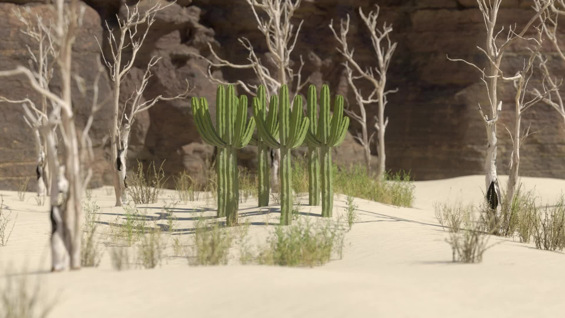 ArtStation - Nature Dance