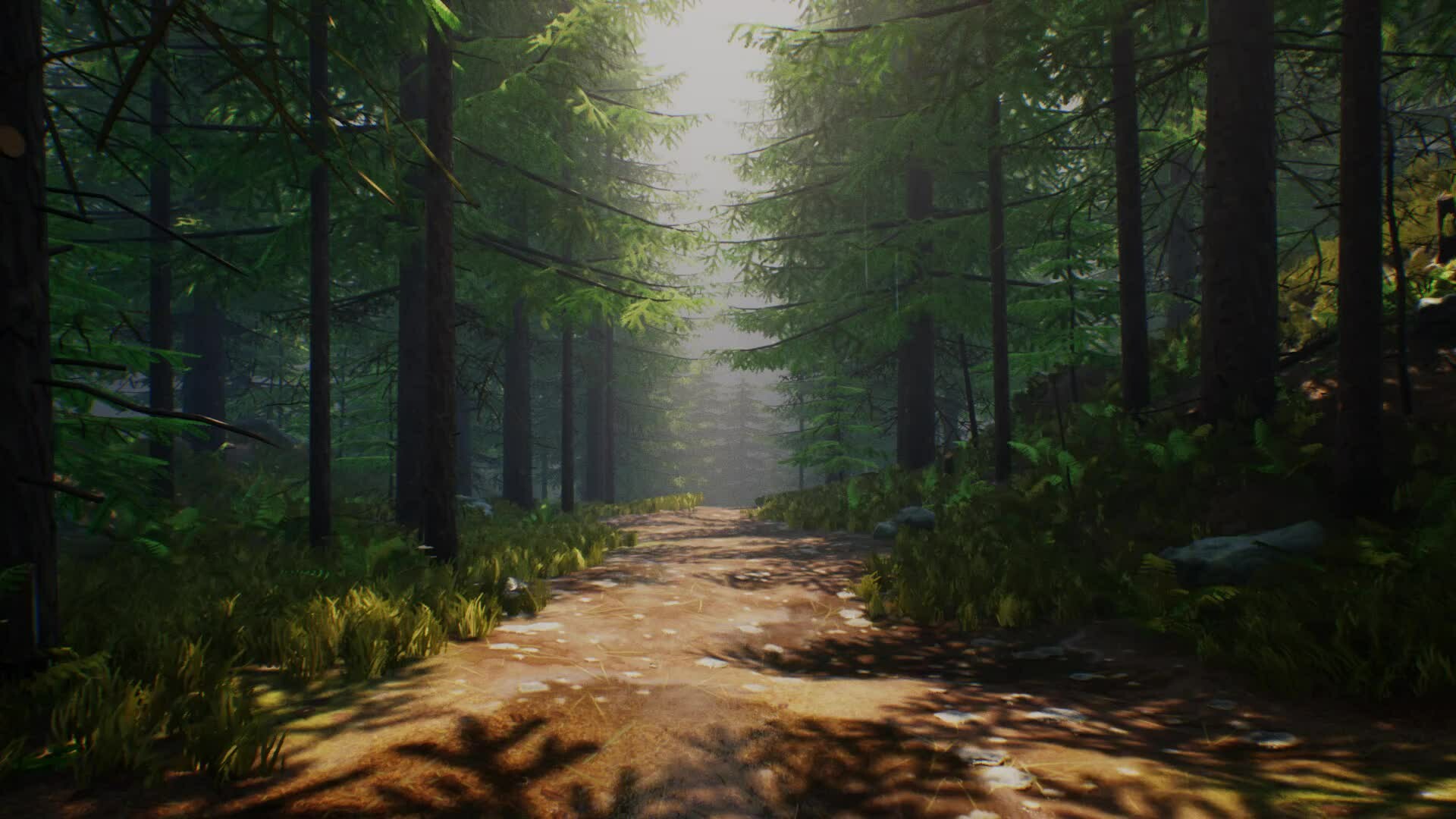 ArtStation - Spruce Forest Scene