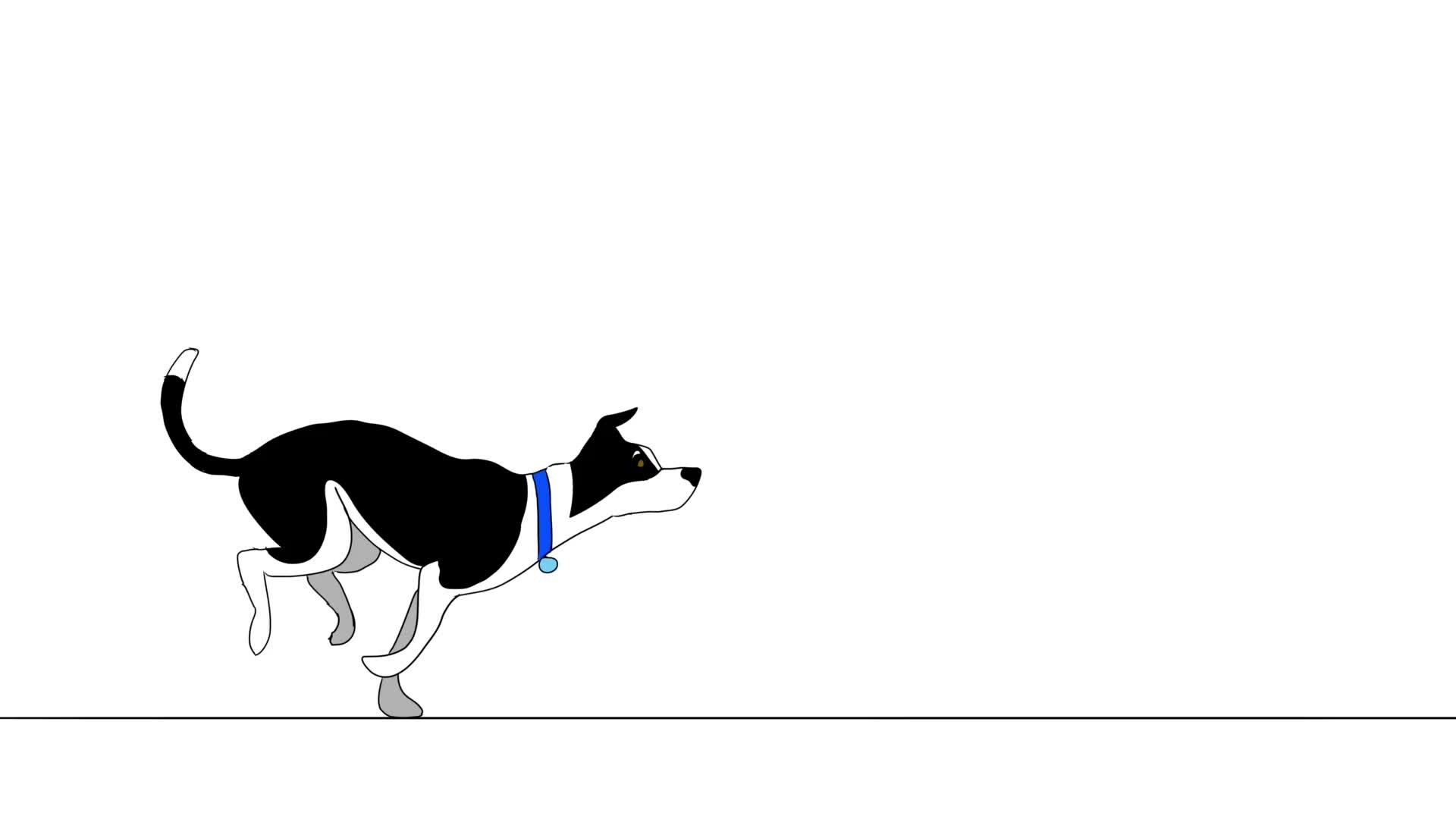 ArtStation - Quadruped Run Study