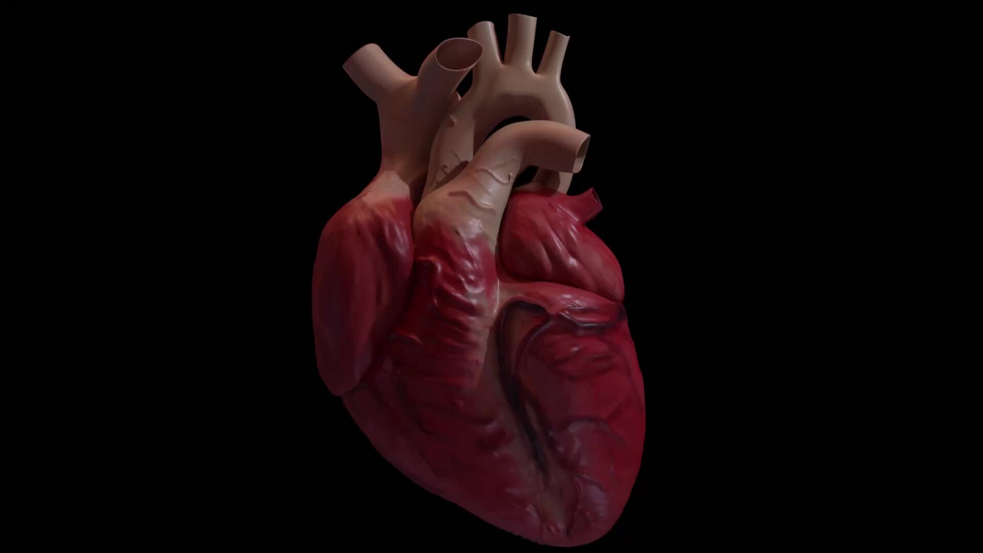 ArtStation - Heart Animation