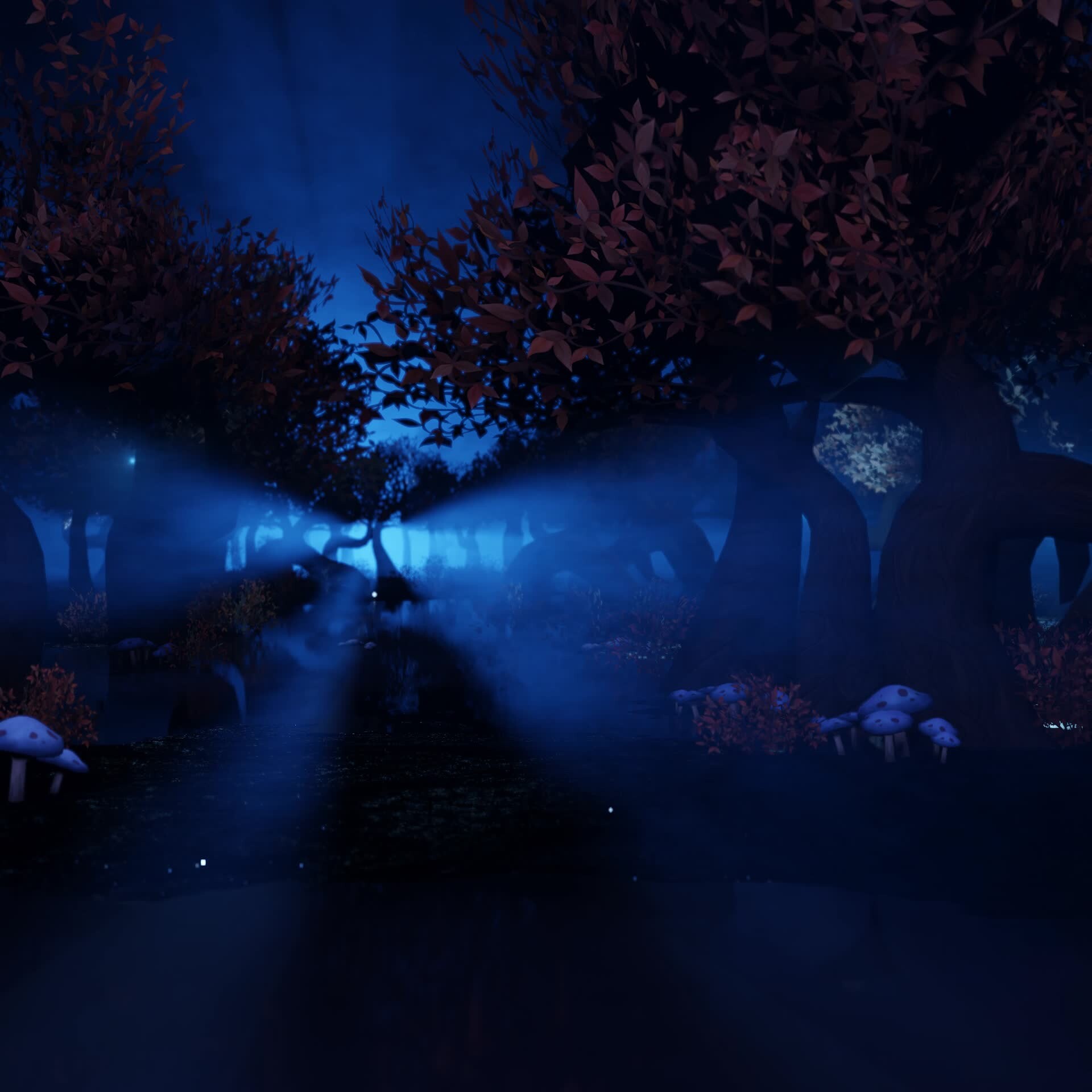 Mohammad Asher - Misty Forest