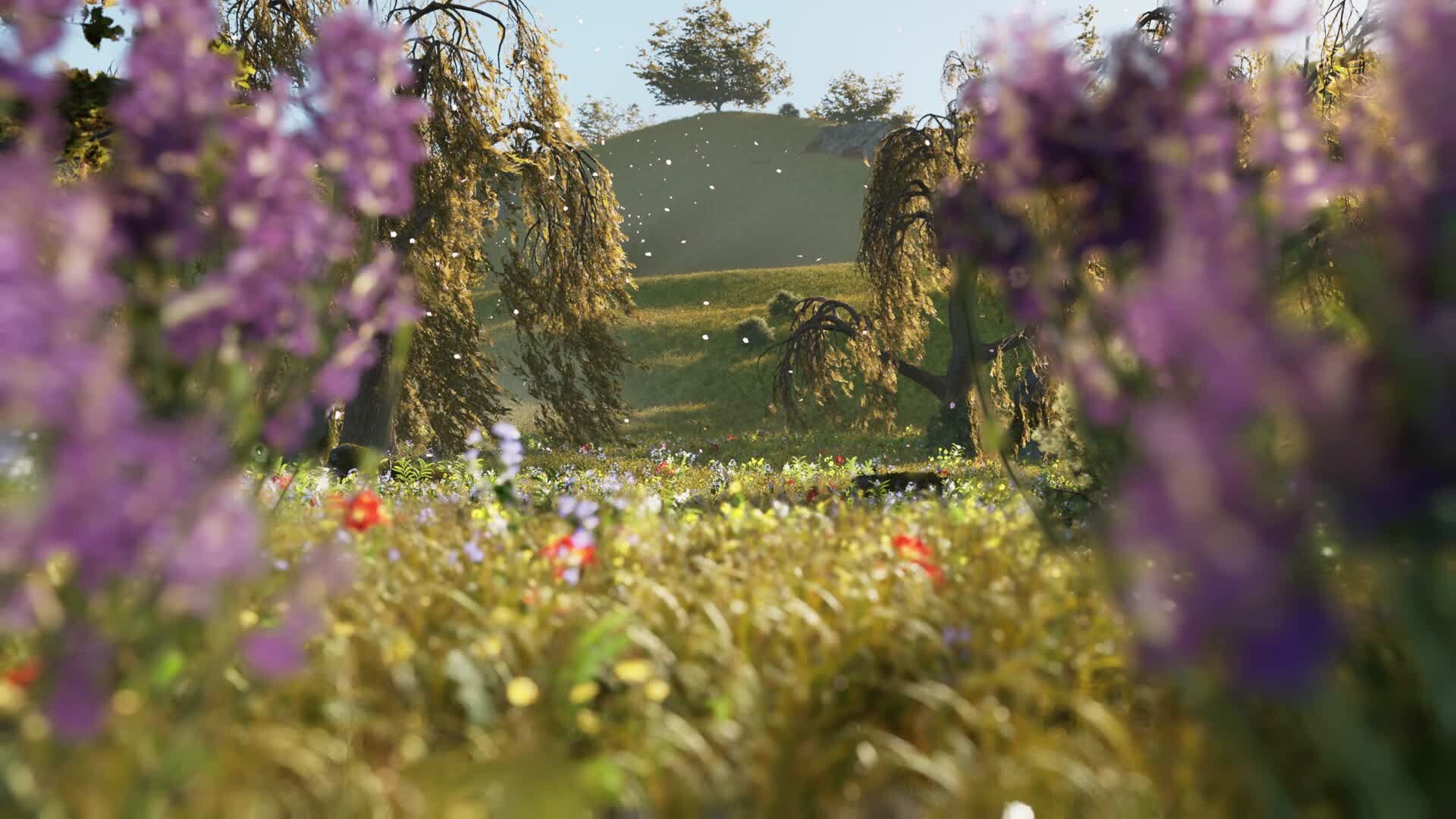 ArtStation - Aveda Spot