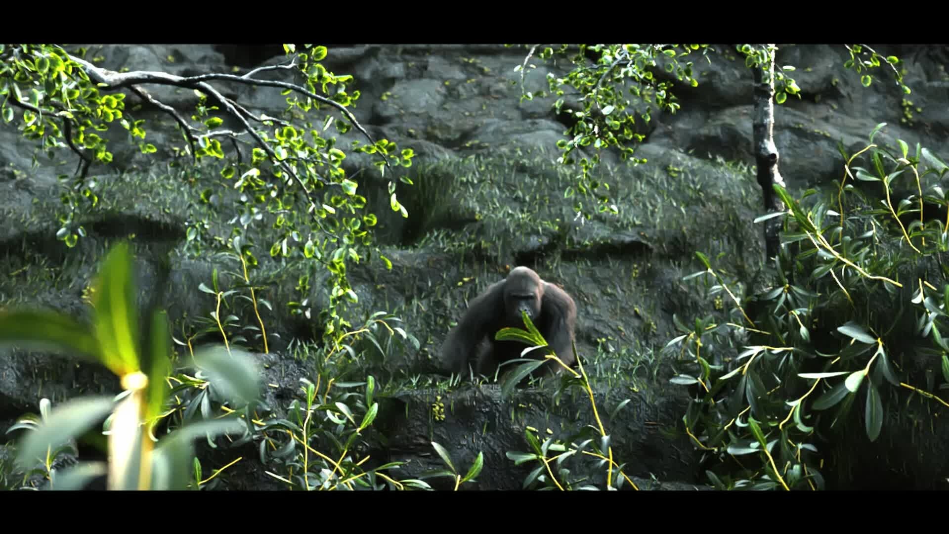 ArtStation - silverback