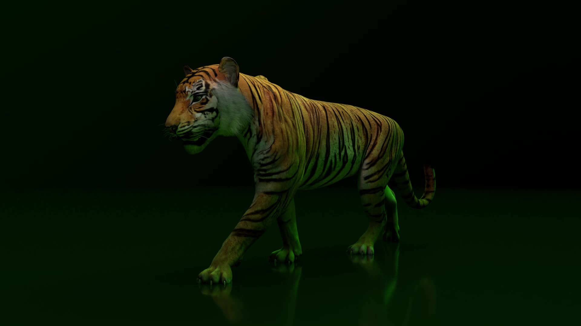 ArtStation - Tiger Animation