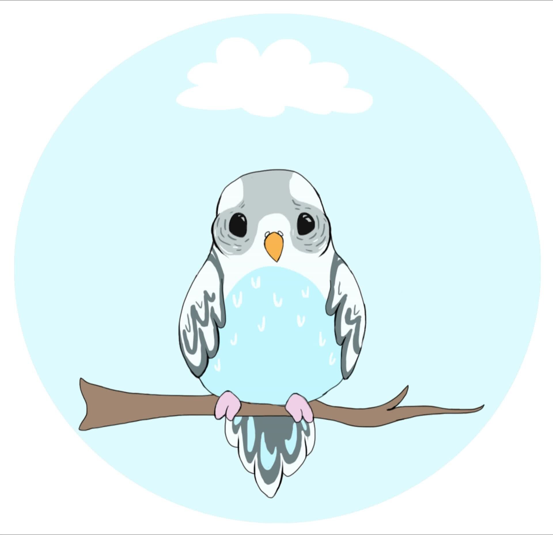 ArtStation - Bird - 2D animation