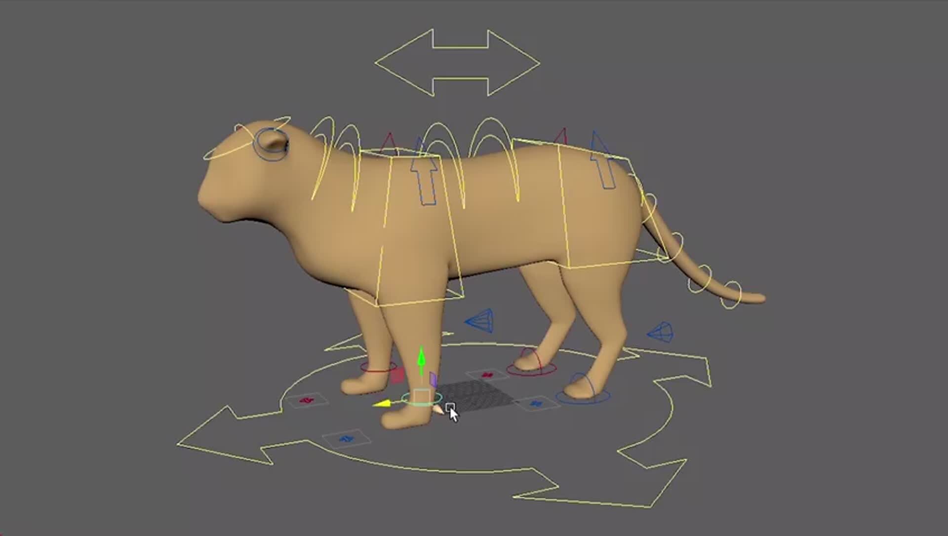 ArtStation - Tiger rigg & animation