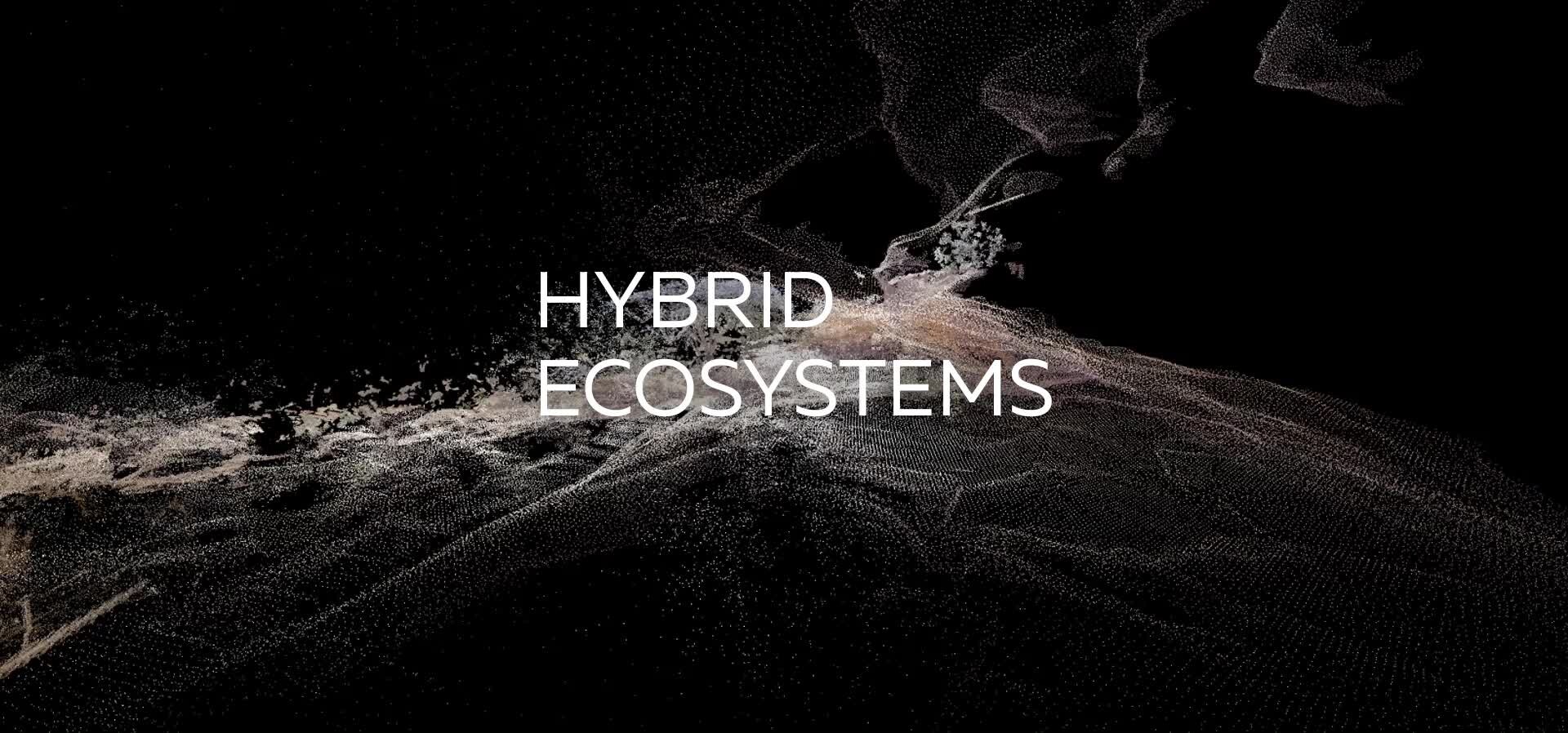 ArtStation - Hybrid Ecosystems | VR exibition