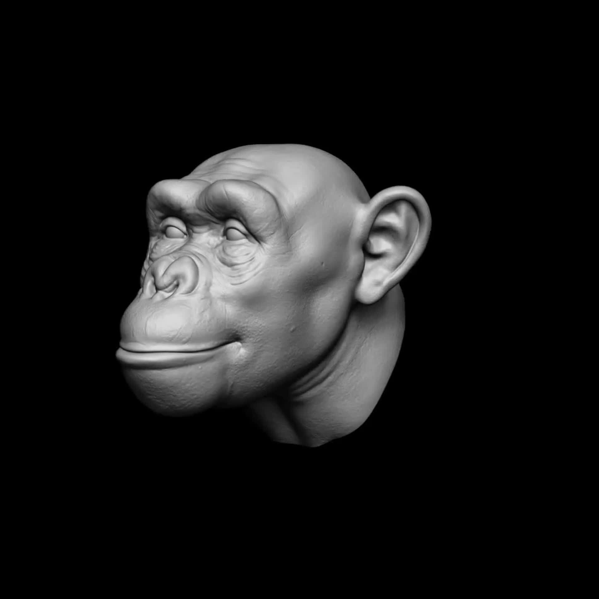 ArtStation - Chimp 360