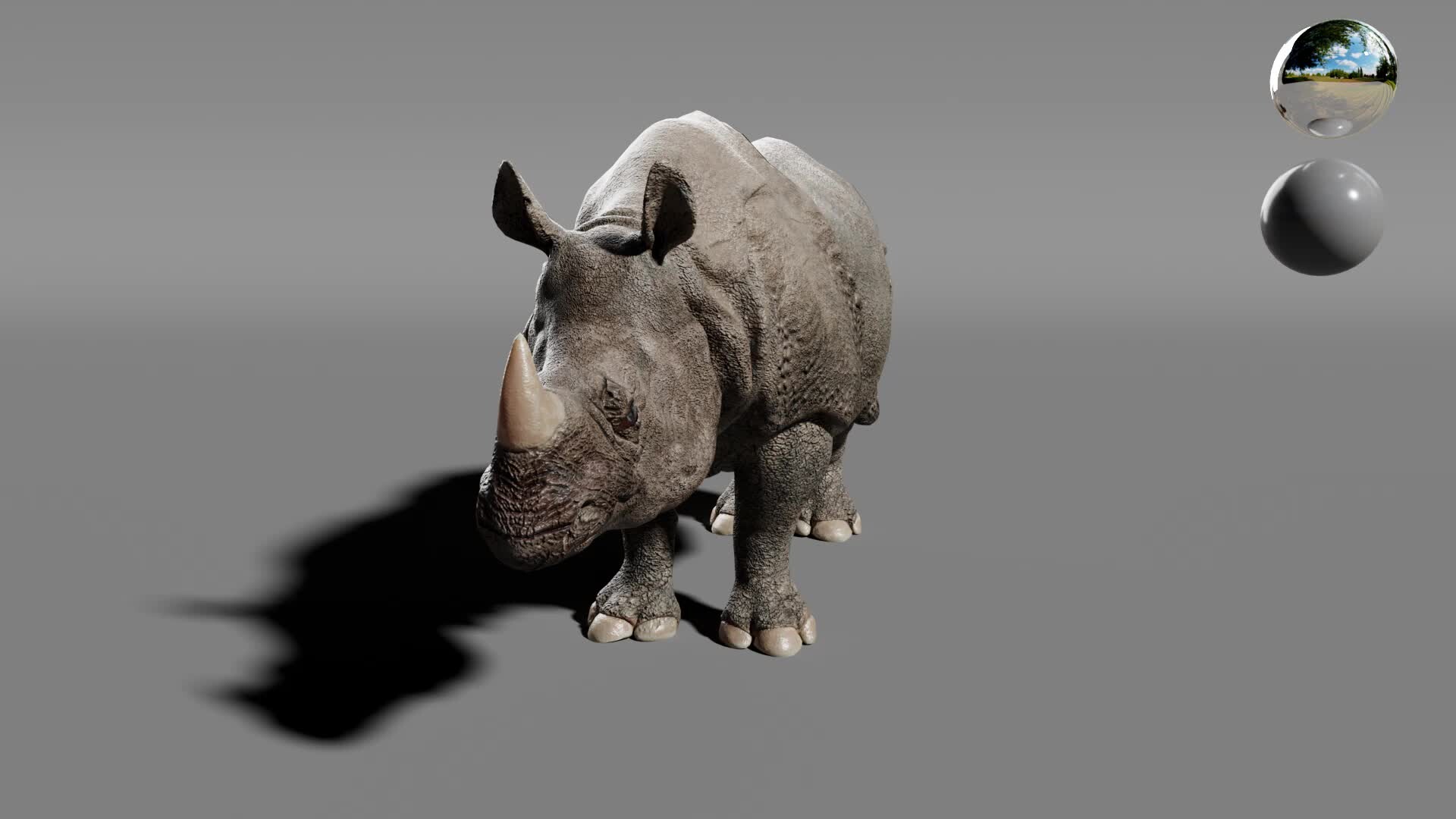 ArtStation - Rhino texturing